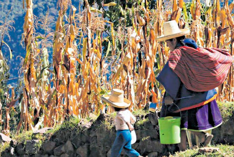 CAJAMARCA ENFRENTA UN DETERIORO EN INDICADORES CLAVE DEL INCORE 2025 – RCR Peru - Radio Moderna ...